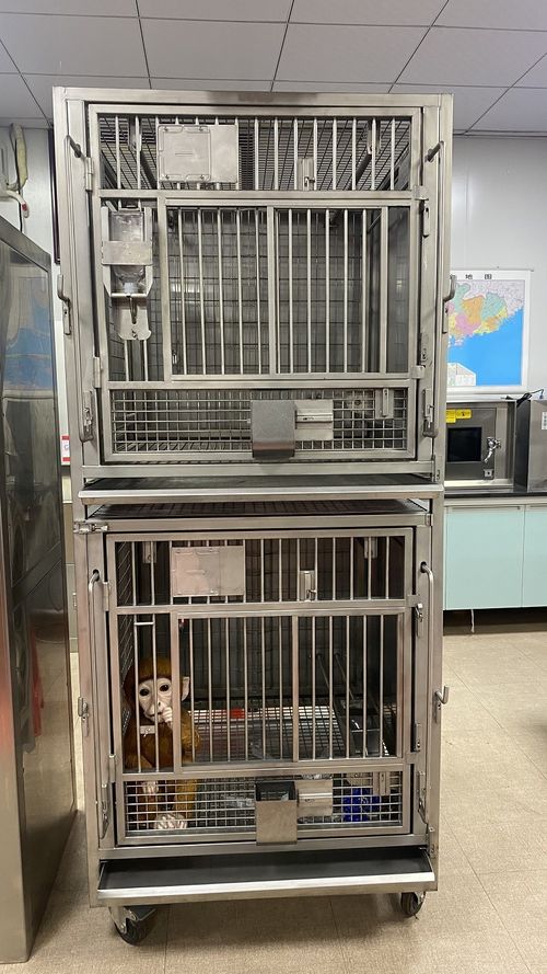 China Guangdong Clean Purifying Equipment Co., Ltd. latest company ...