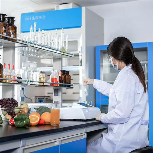 Food Inspection Laboratory Design: Ensuring Food Safety with ...