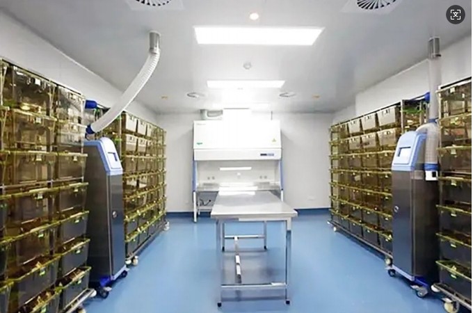 The Purification "Guardian Star" in Animal Laboratories - Guangzhou ...