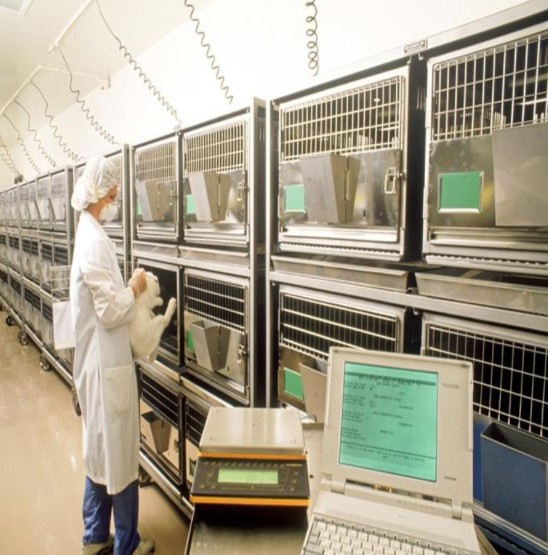 Do You Know the Waste Management Standards for Animal Laboratories?