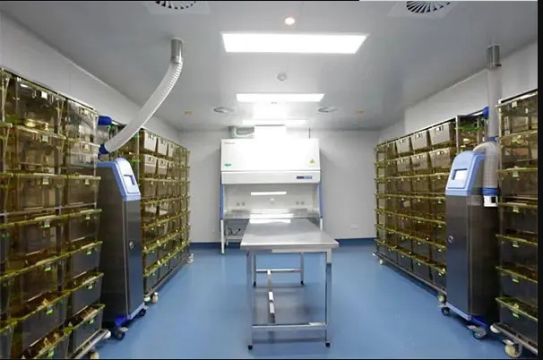 Ventilation Design for Animal Rooms in Animal Laboratories: The Key to ...