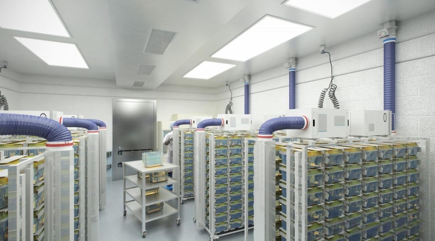 The Rational Division of Different Functional Zones in Animal ...