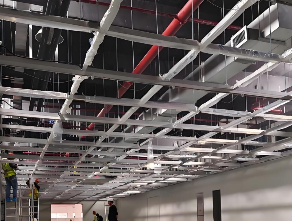 Partition & Ceiling Systems: The Core Guardians of Cleanrooms
