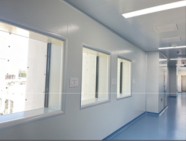 Cleanroom Enclosure Structure in Biopharmaceutical Cleanroom Engineering