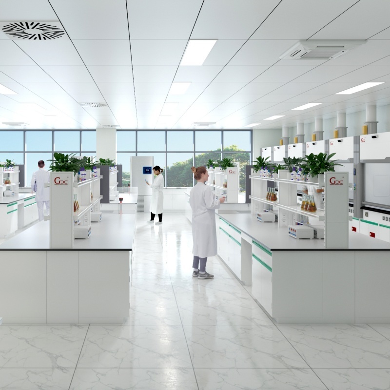 ISO Modular Physical and Chemical GMP Cleanroom Biomedical Project Solution